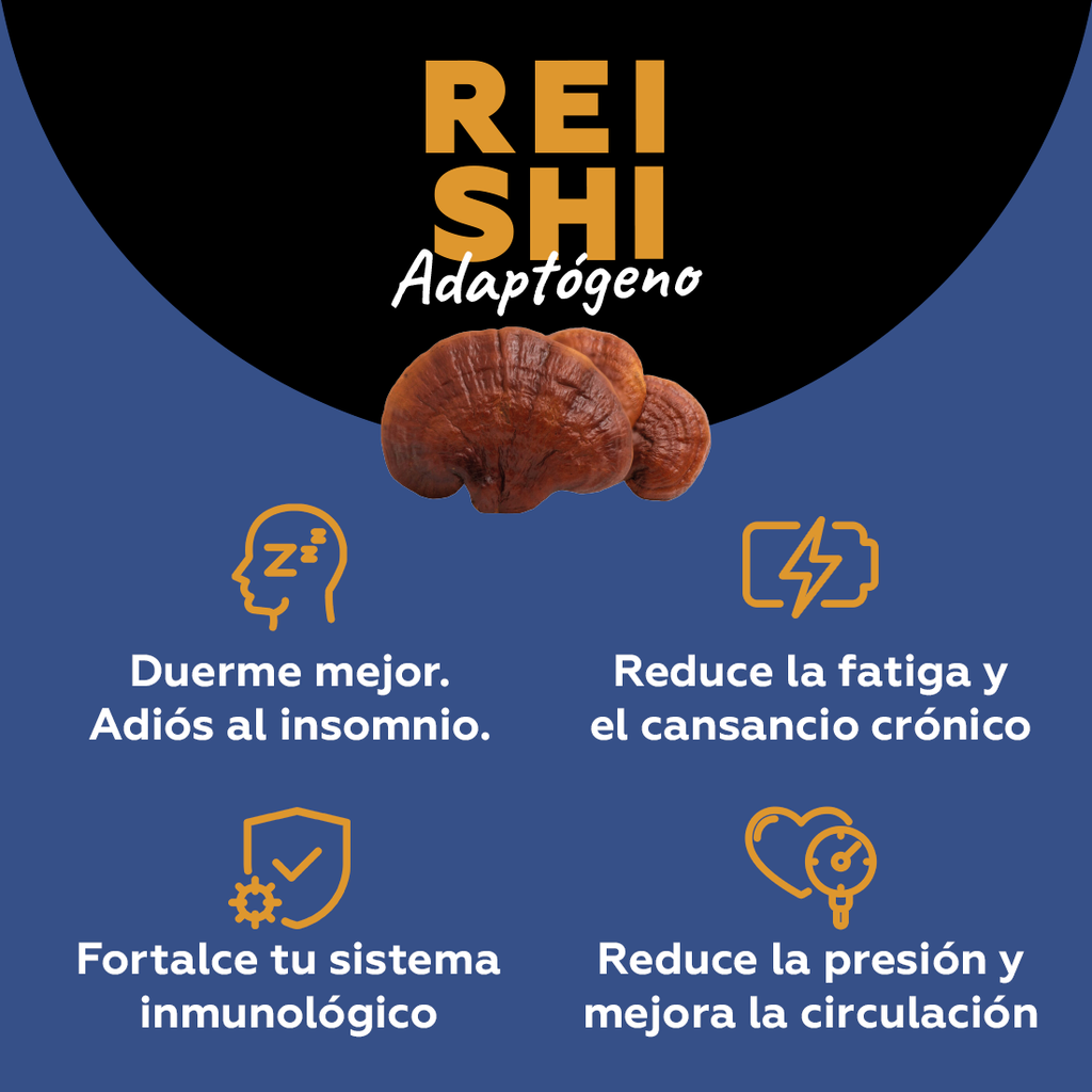Reishi - Adaptógeno (antiestrés y longevidad) 100 cápsula – INTELIVA ...